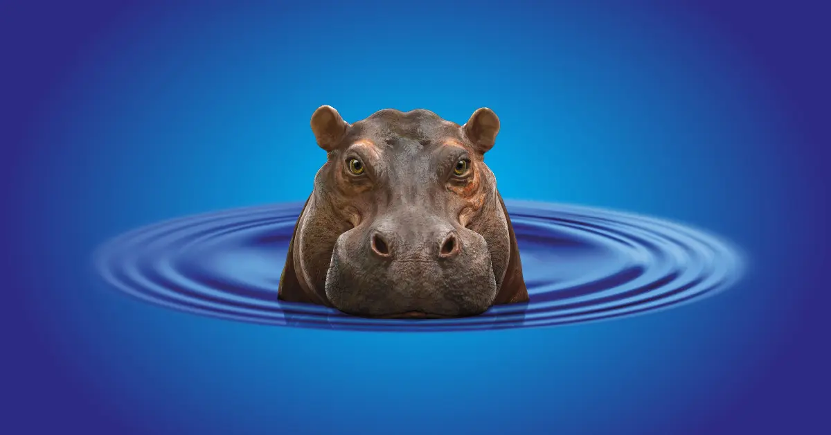 Hippo Building & Decorating Products | Bigger Better Performance